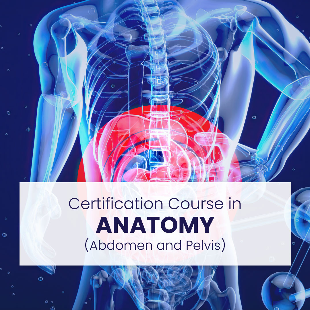 Online MBBS & MD Courses, Certifications and International Degrees for ...