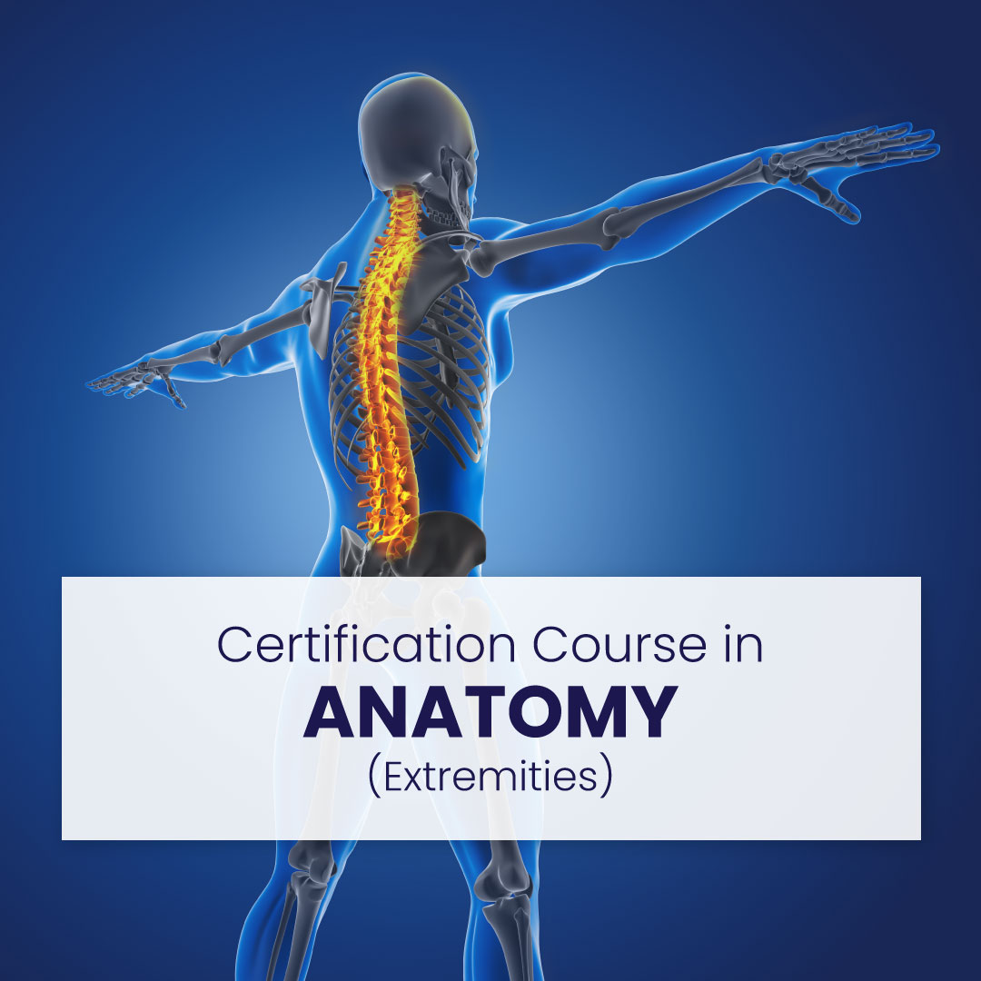 Online MBBS & MD Courses, Certifications and International Degrees for ...