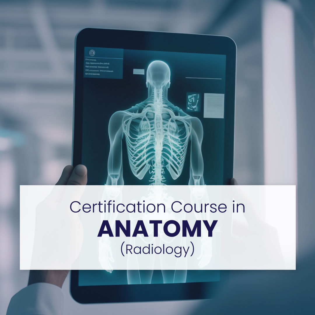 Online MBBS & MD Courses, Certifications and International Degrees for ...
