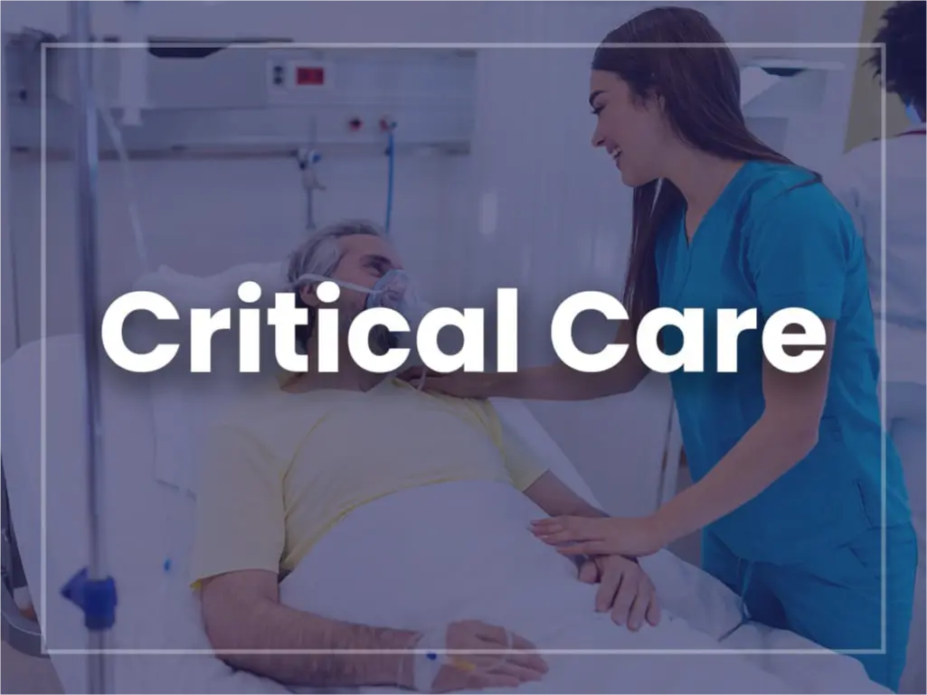 Free Courses | OC Academy